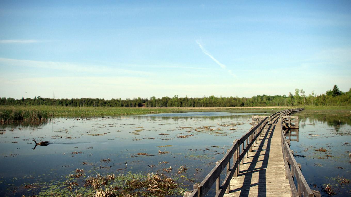Trails in the Bay of Quinte - Bay of Quinte Region