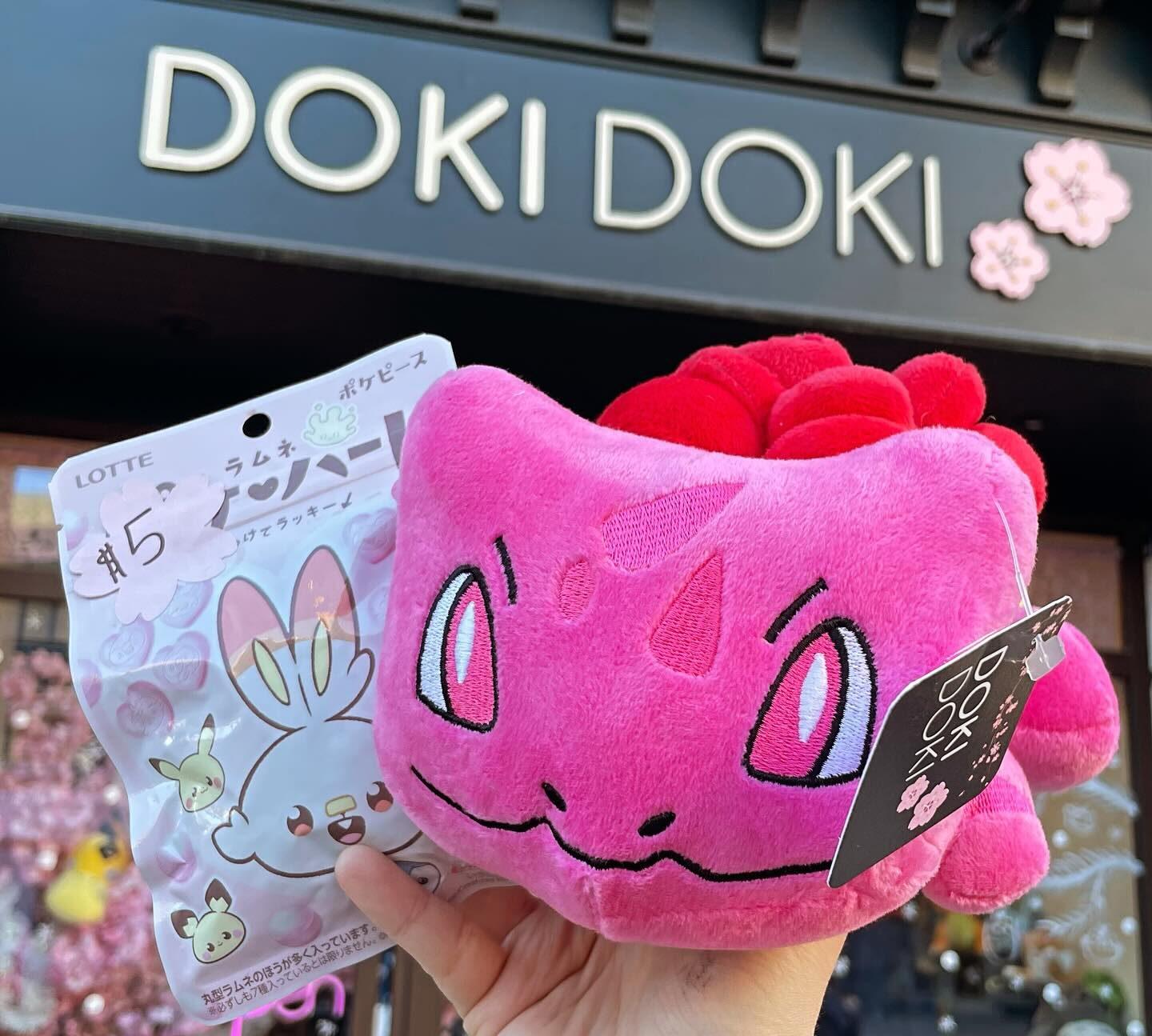 Behind the Storefront: Doki Doki in Downtown Belleville